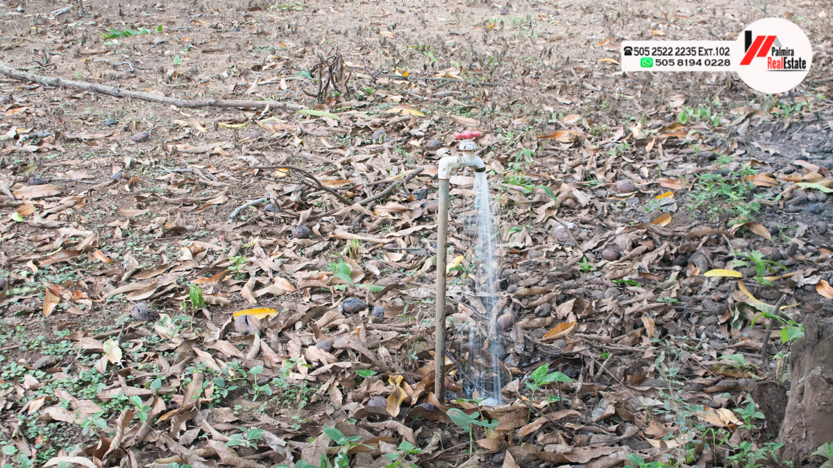 venta de finca en tisma masaya | Compra y Venta Nicaragua