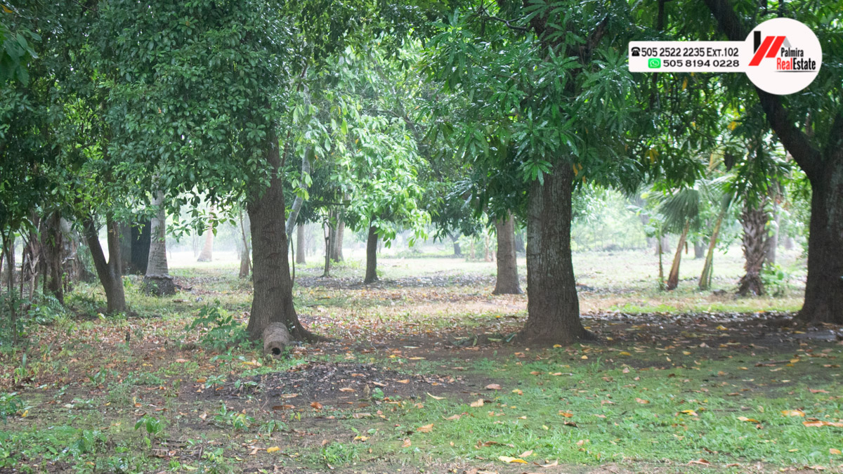 venta de finca en tisma masaya | Compra y Venta Nicaragua
