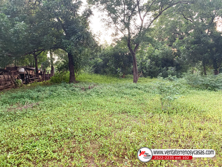venta de finca de 1 mz en tisma, masaya | Compra y Venta Nicaragua