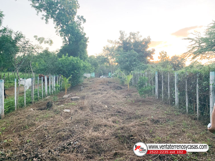 venta de finca de 1 mz en tisma, masaya | Compra y Venta Nicaragua