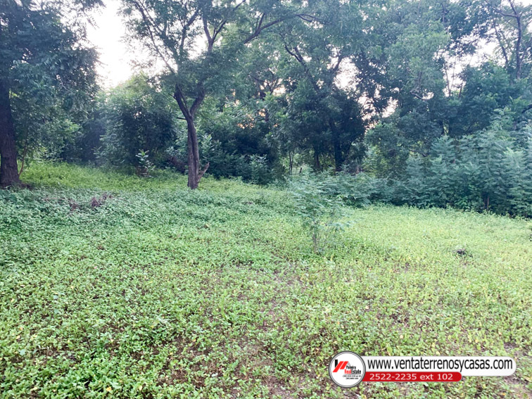 venta de finca de 1 mz en tisma, masaya | Compra y Venta Nicaragua